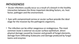 MICROBIOLOGY OF FUNGI INVOLVING CORNEA.pptx