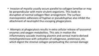 MICROBIOLOGY OF FUNGI INVOLVING CORNEA.pptx