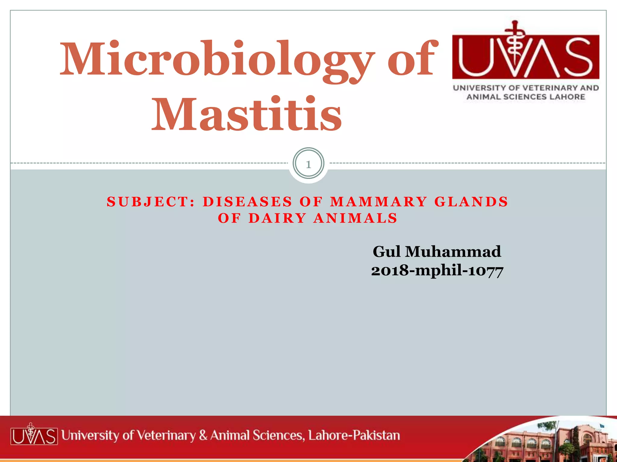 Microbiology of mastitis | PPTX