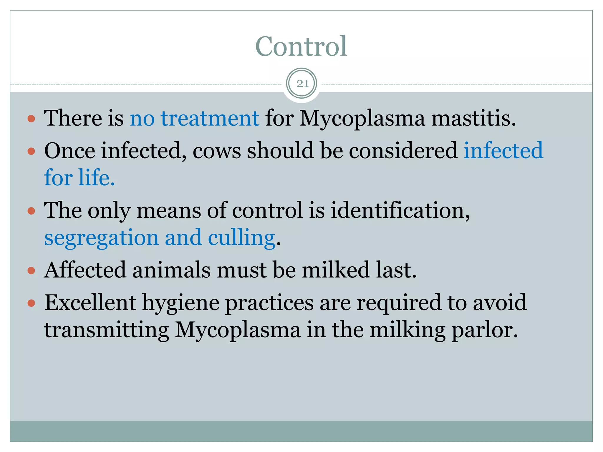 Microbiology of mastitis | PPTX