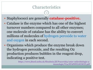 Microbiology of mastitis | PPTX