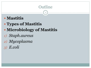 Microbiology of mastitis | PPTX