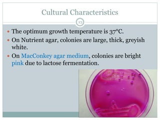 Microbiology of mastitis | PPTX