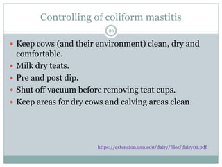 Microbiology of mastitis | PPTX