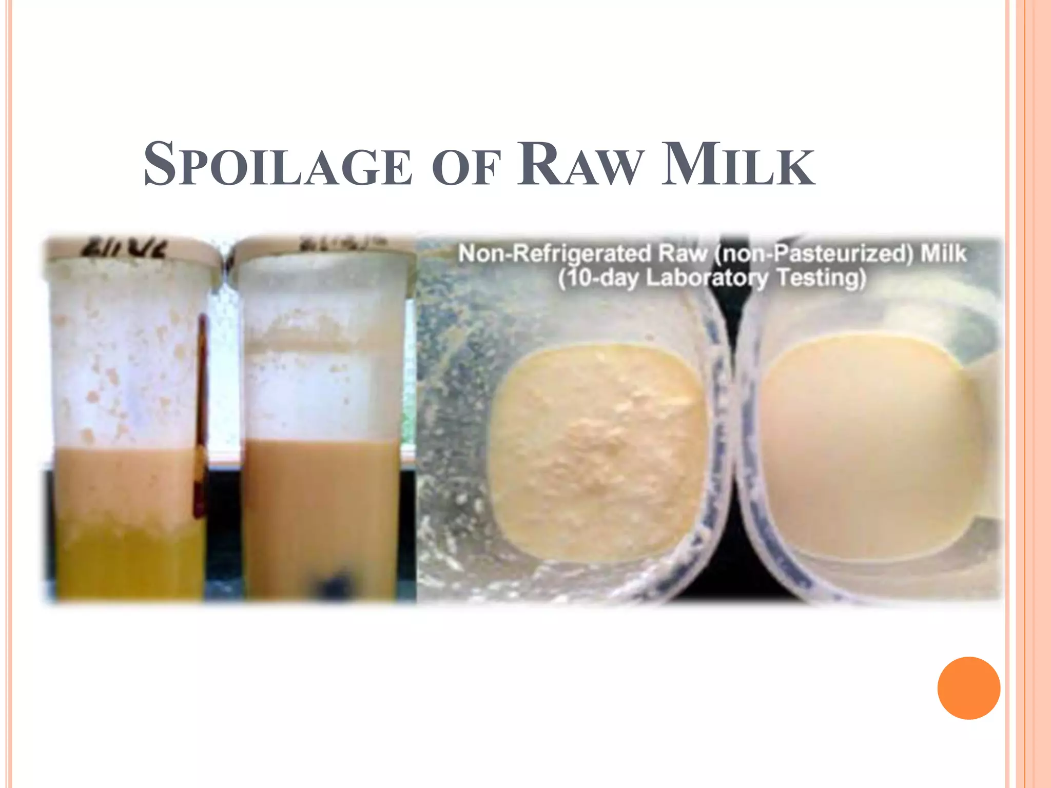 Microbiology of milk | PPTX