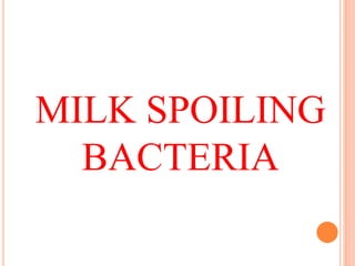Microbiology of milk | PPTX