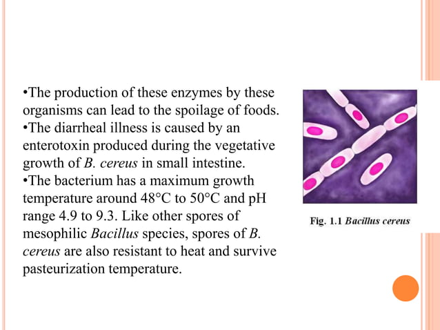 Microbiology of milk | PPTX | Chemistry | Science