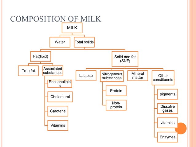 Microbiology of milk | PPTX | Chemistry | Science