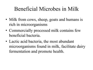 Microorganisms In Milk