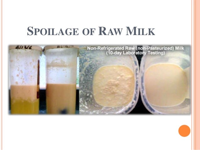 Microbiology of milk