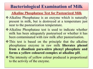 Microbiology of milk | PPTX | Chemistry | Science