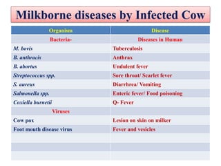 Microbiology of milk | PPTX
