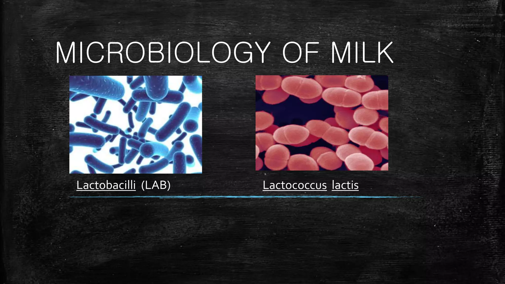 MICROBIOLOGY OF MILK.pptx