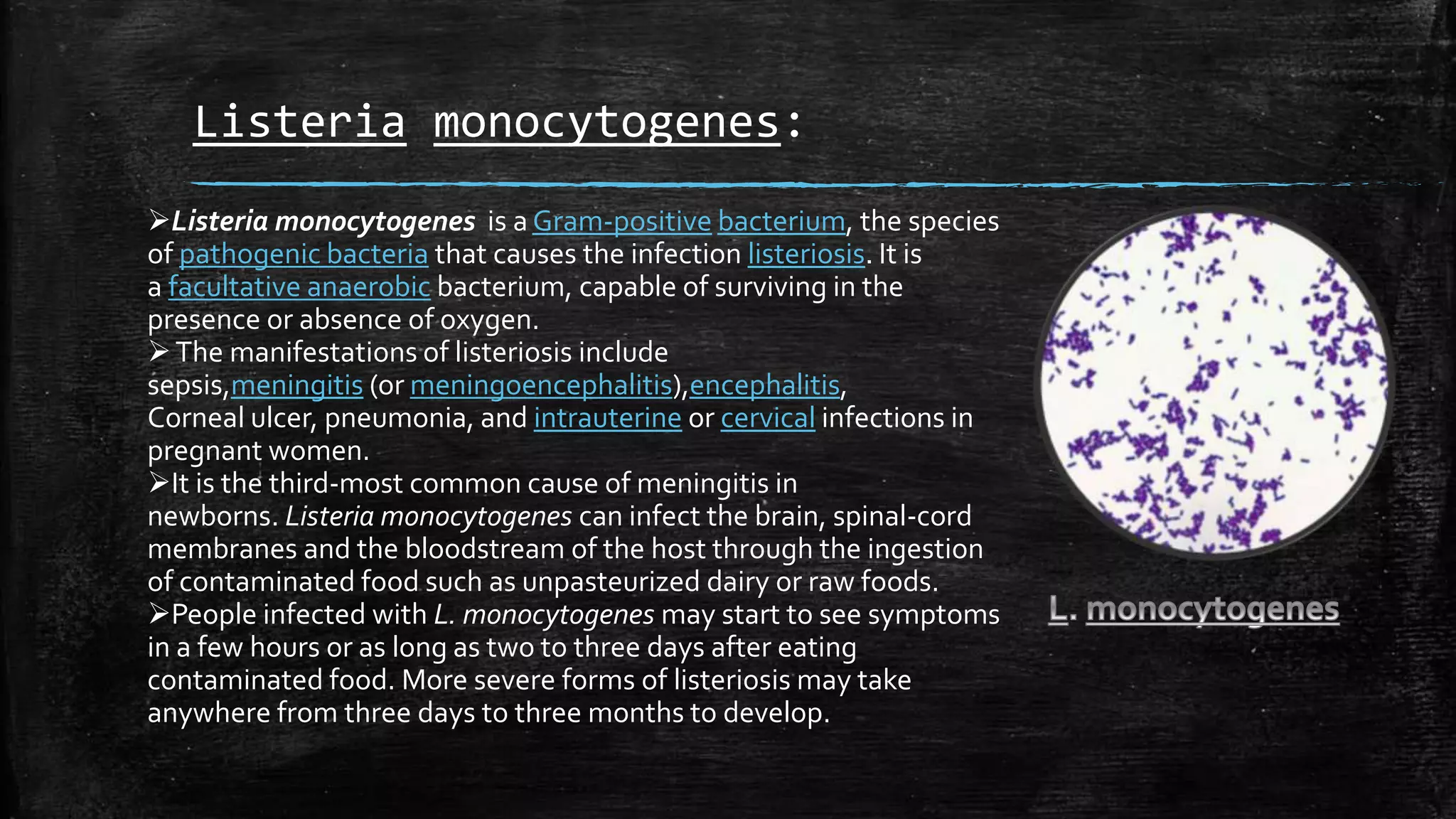 MICROBIOLOGY OF MILK.pptx