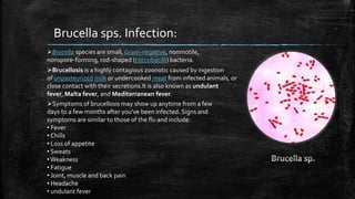 MICROBIOLOGY OF MILK.pptx