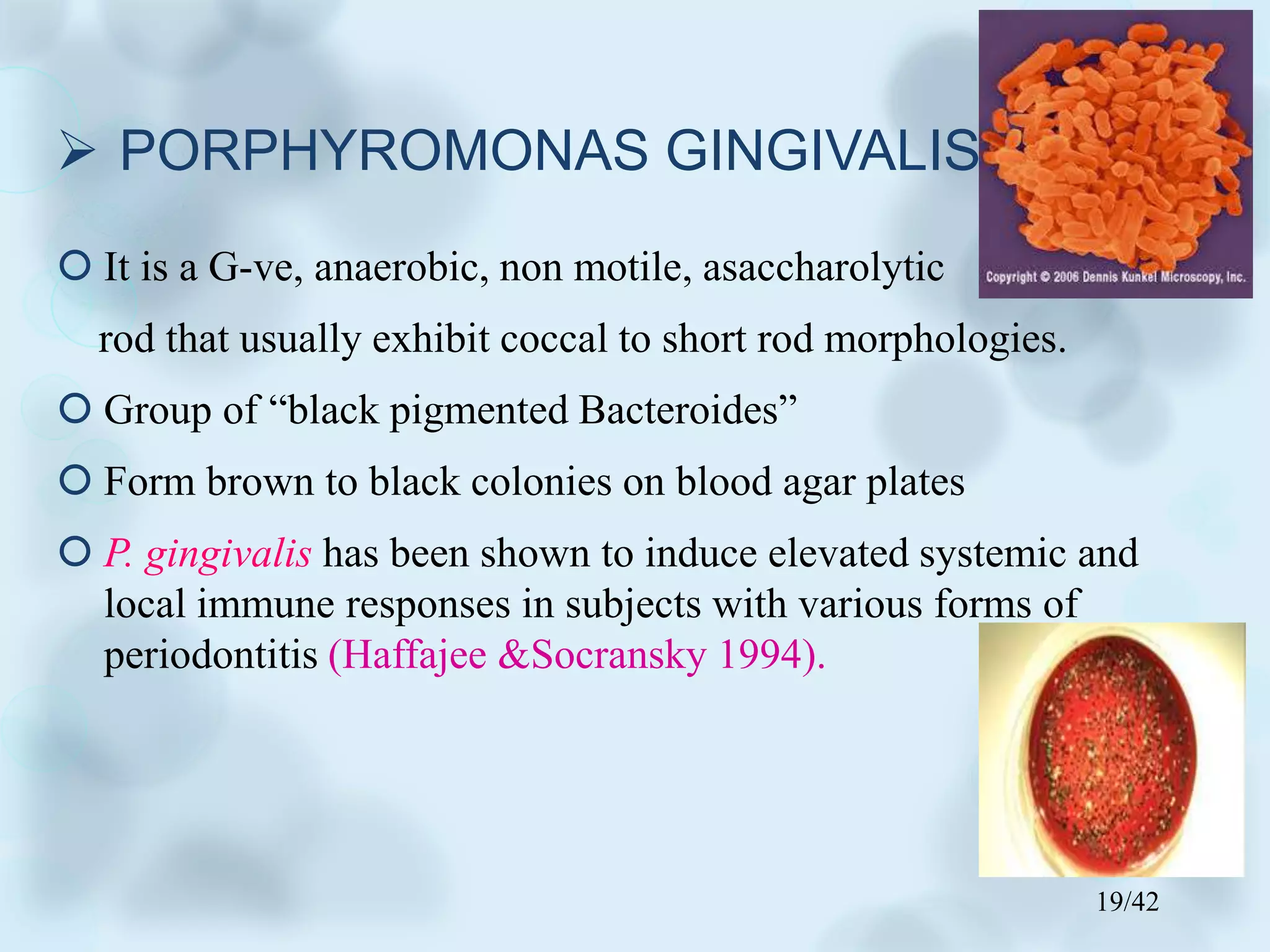 Microbiology of periodontal disease- part 2 | PPTX
