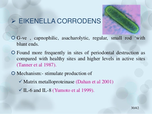 Microbiology of periodontal disease- part 2