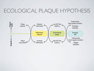 Microbiology of Periodontal diseases | PDF