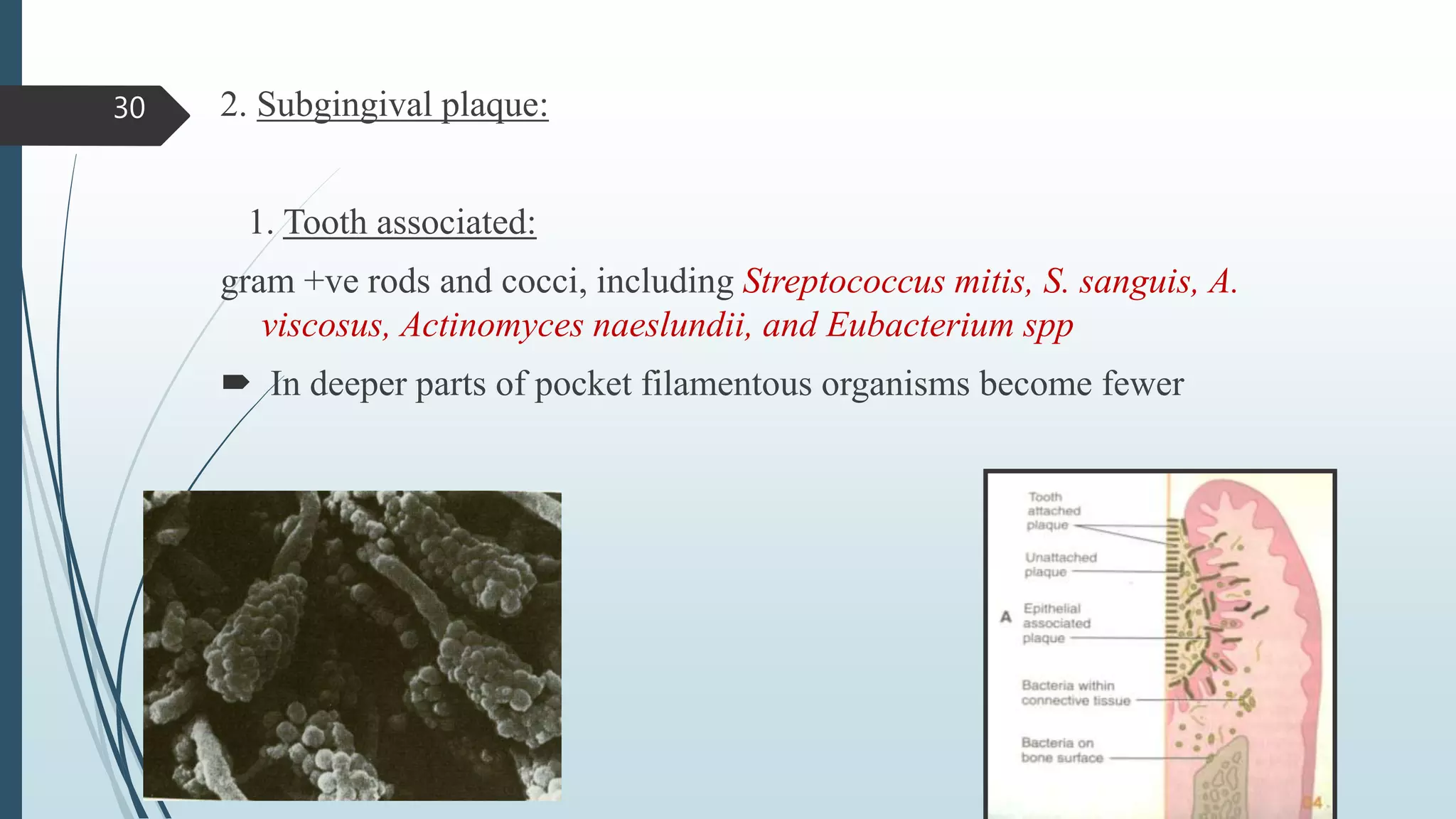 Microbiology of periodontal diseases | PPTX