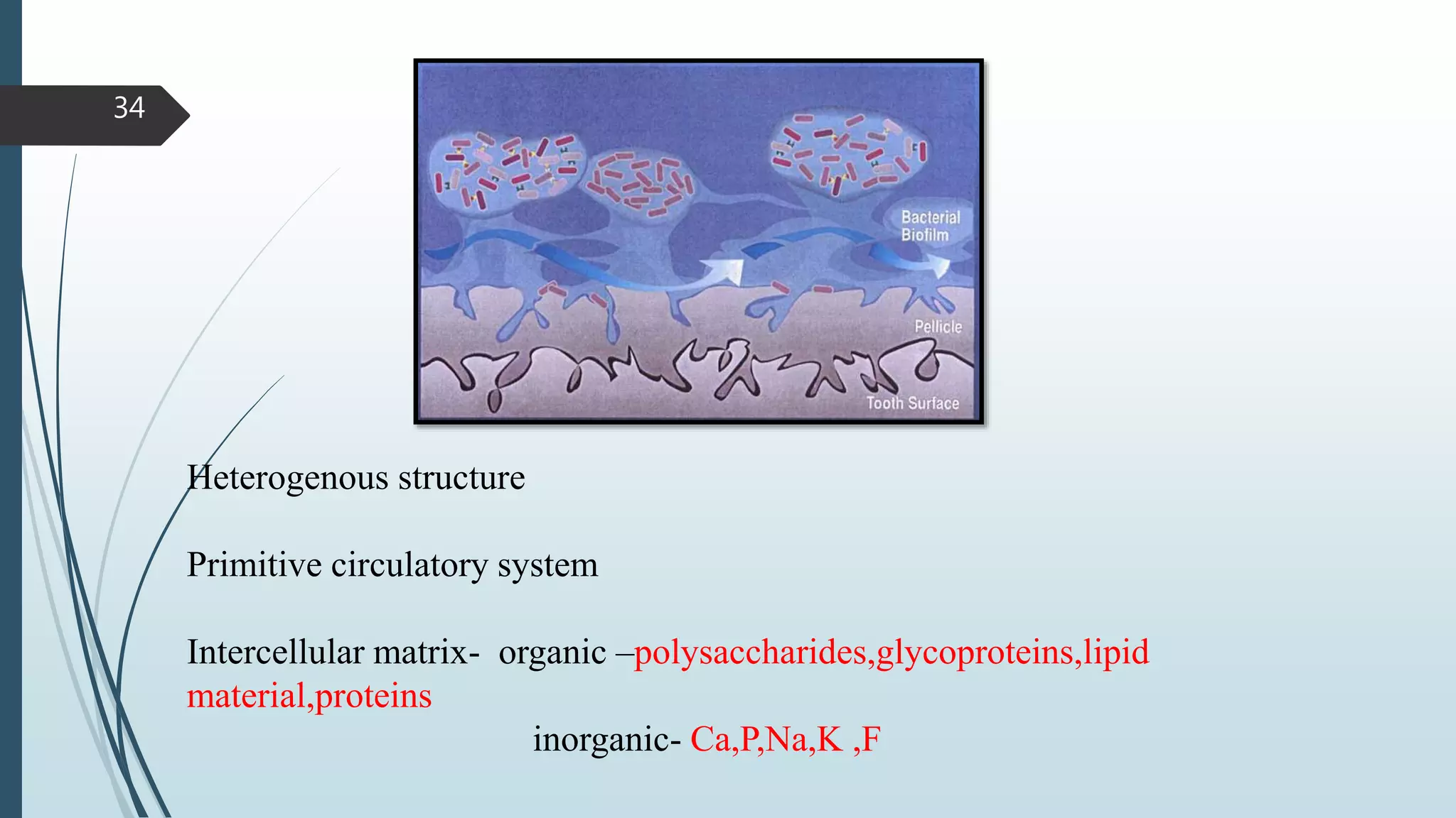 Microbiology of periodontal diseases | PPTX