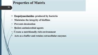 Microbiology of periodontal diseases | PPTX