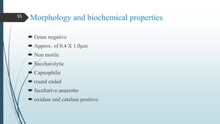 Microbiology of periodontal diseases | PPTX