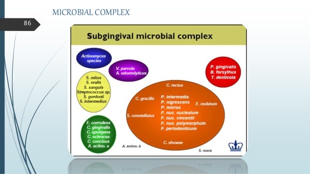Microbiology of periodontal diseases
