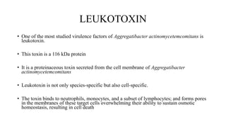 Microbiology of periodontal diseases | PPTX