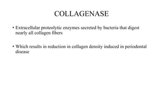 Microbiology of periodontal diseases | PPTX