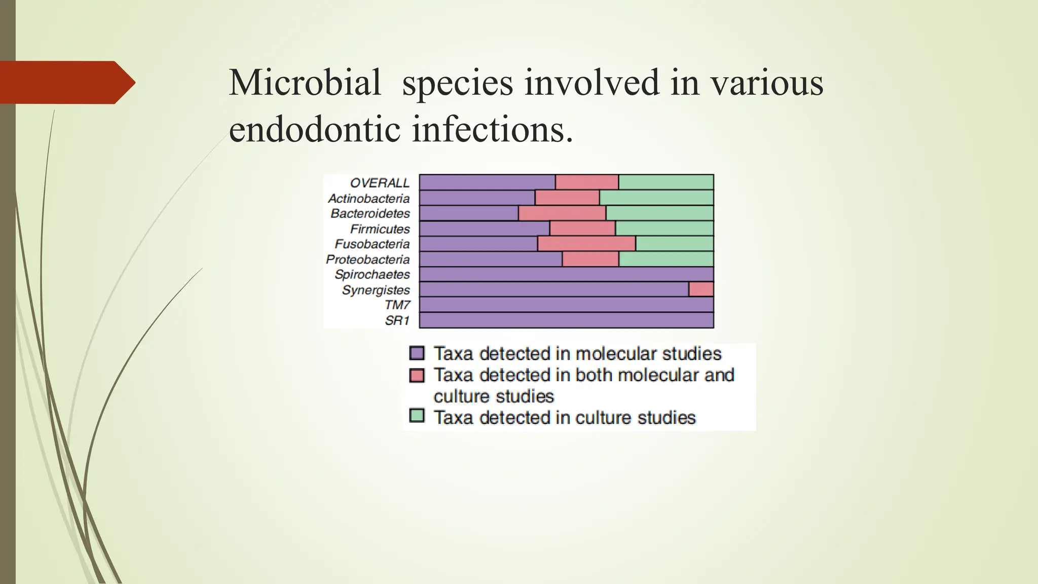 @Microbiology of pulp & periradicular pathosis part 1 2024.pptx