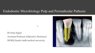 @Microbiology of pulp & periradicular pathosis part 1 2024.pptx