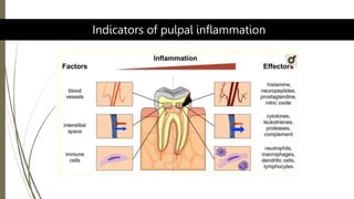 @Microbiology of pulp & periradicular pathosis part 1 2024.pptx