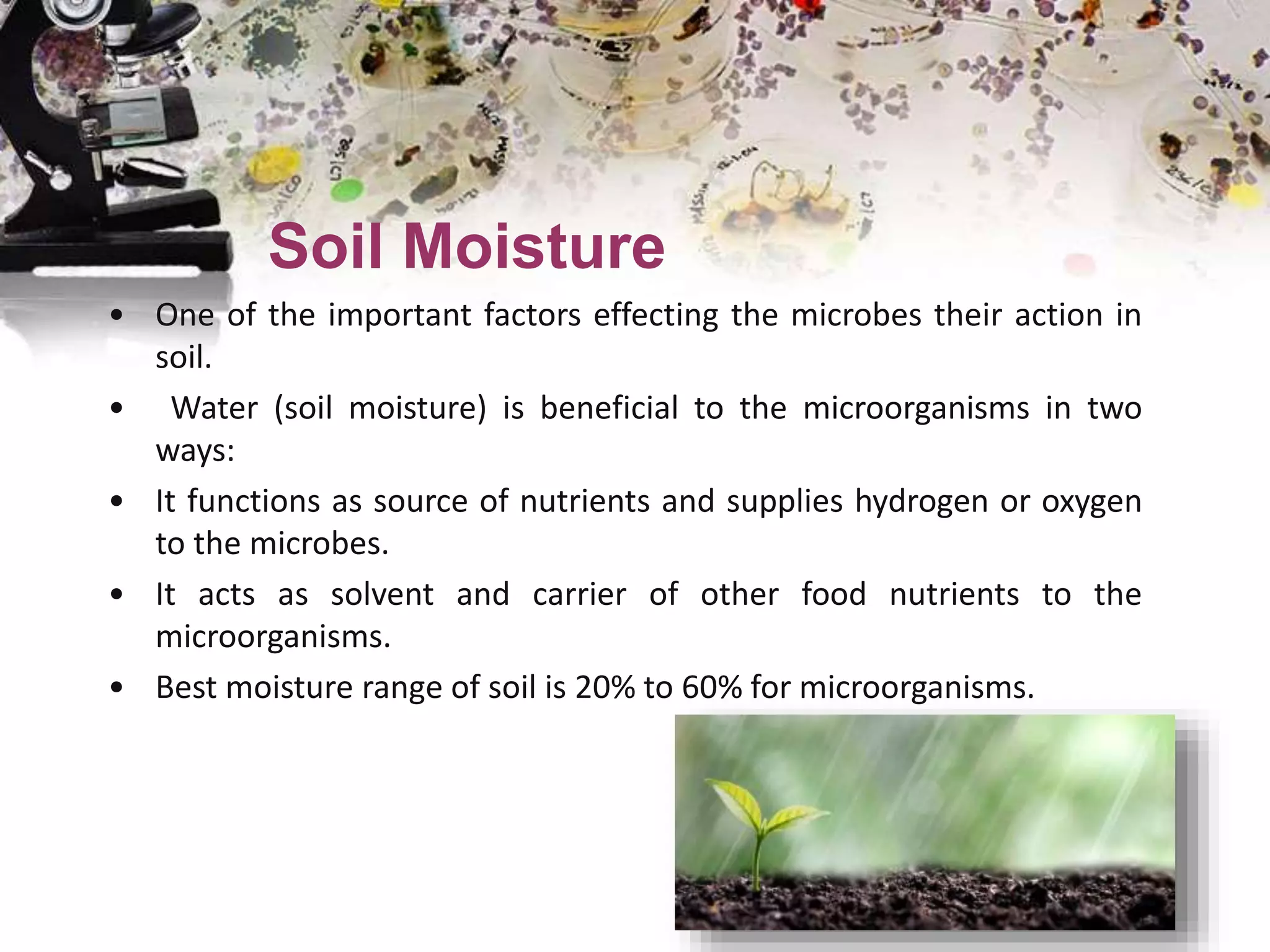 Microbiology of soil & nitrogen cycle | PPTX