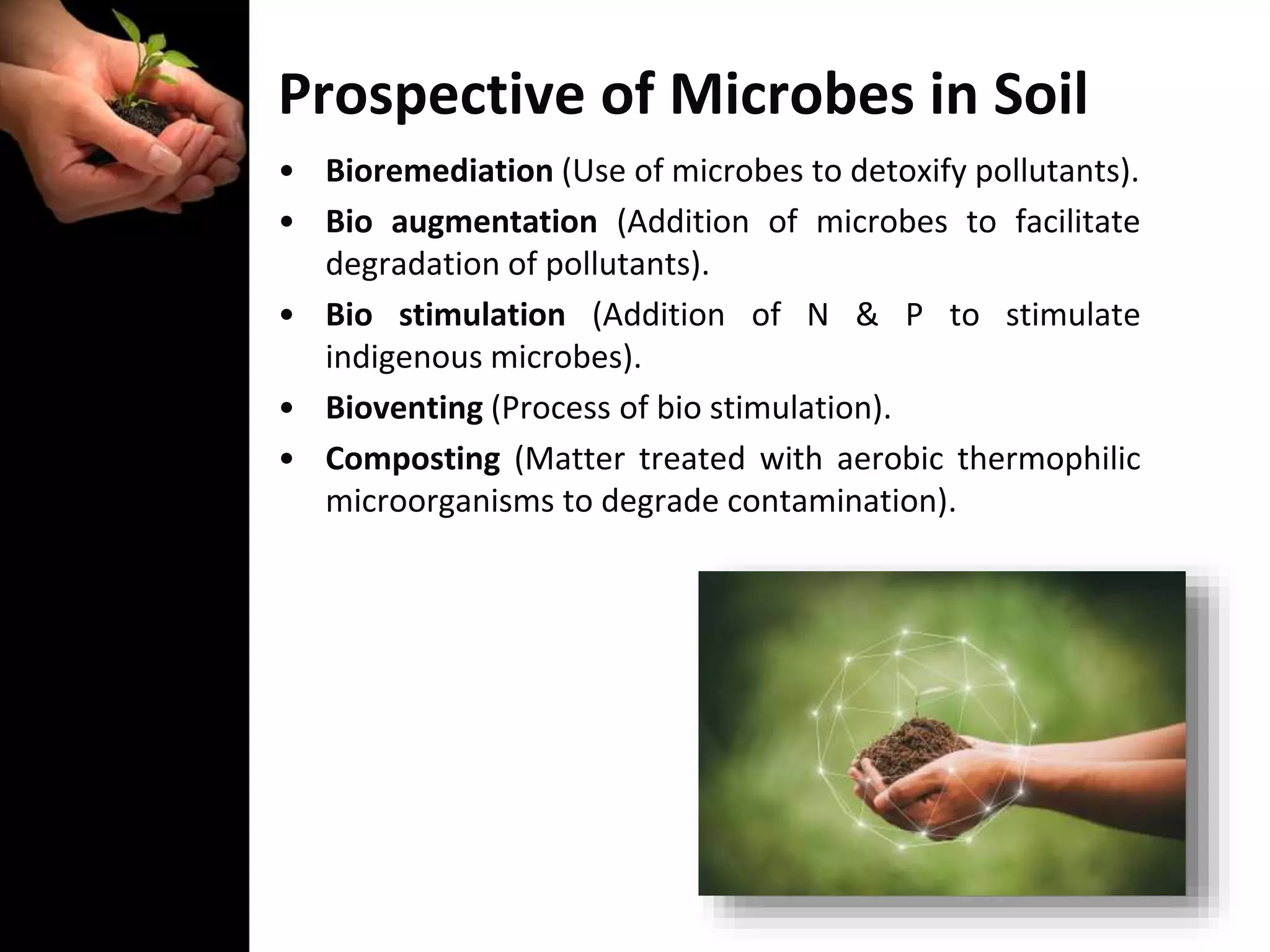 Microbiology of soil & nitrogen cycle | PPTX
