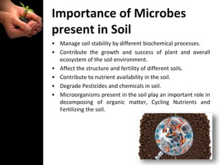 Microbiology of soil & nitrogen cycle | PPTX