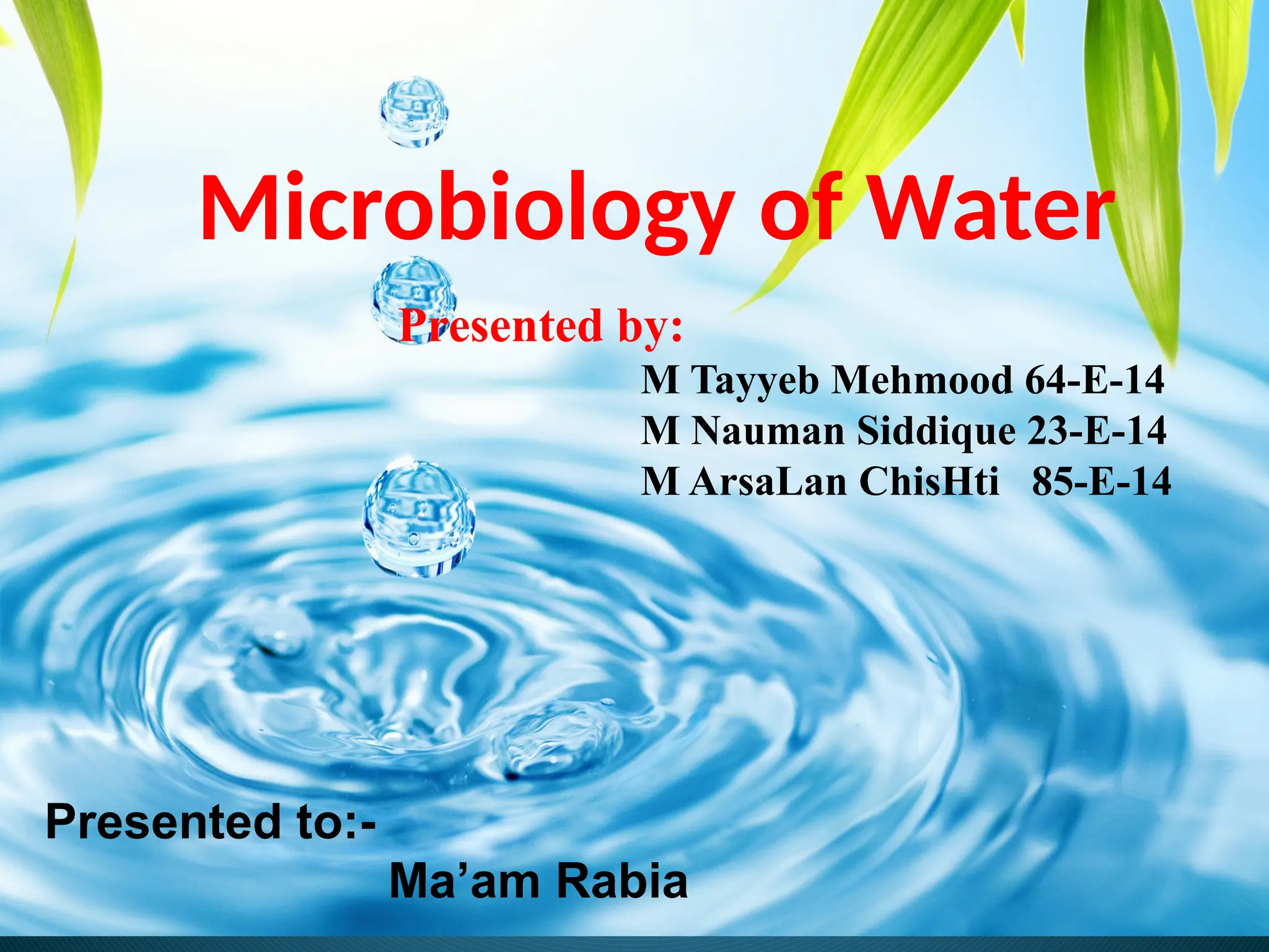 Microbiology of surface water, 2025-06-07-B.pptx