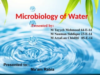 Microbiology of surface water, 2025-06-07-B.pptx