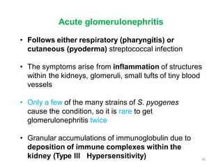 Microbiology Of The Respiratory System 2023.pdf