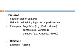 Microbiology of trickling filters | PPTX