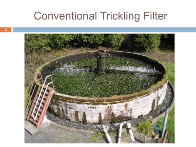 Microbiology of trickling filters | PPTX
