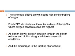 Microbiology of trickling filters | PPTX