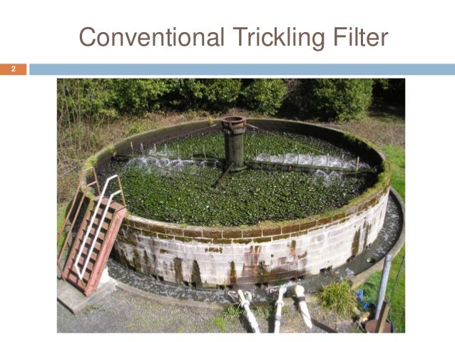 Microbiology of trickling filters