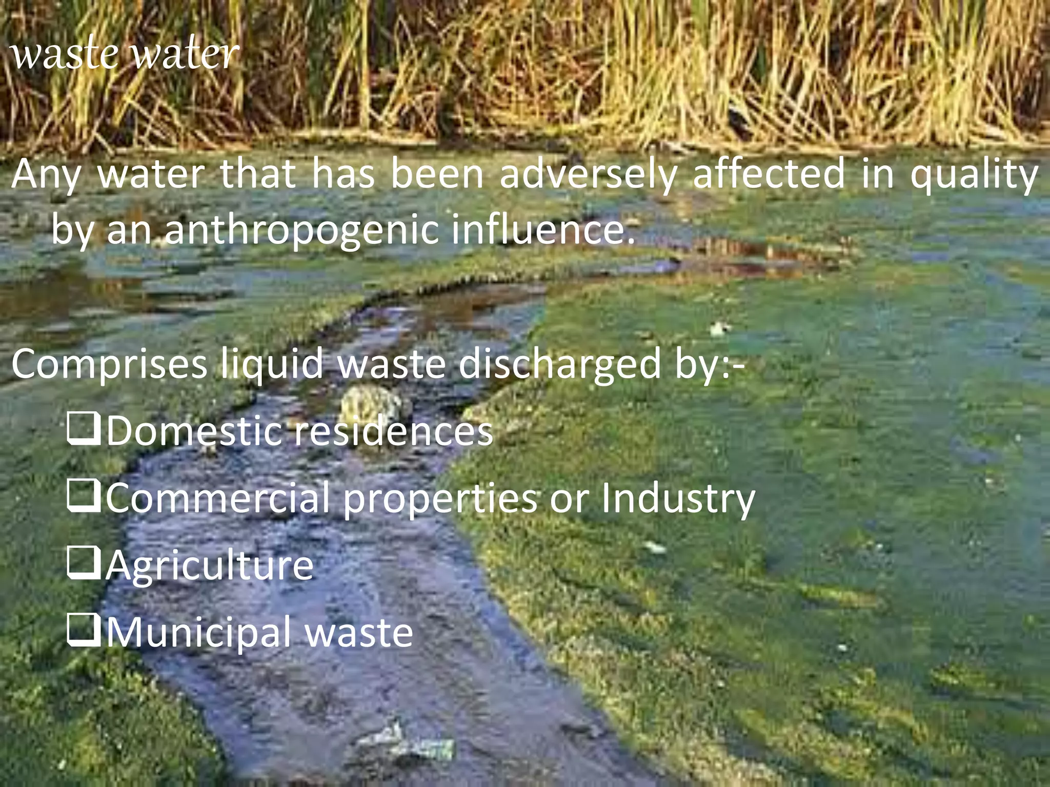 Microbiology of waste water treatment | PPTX