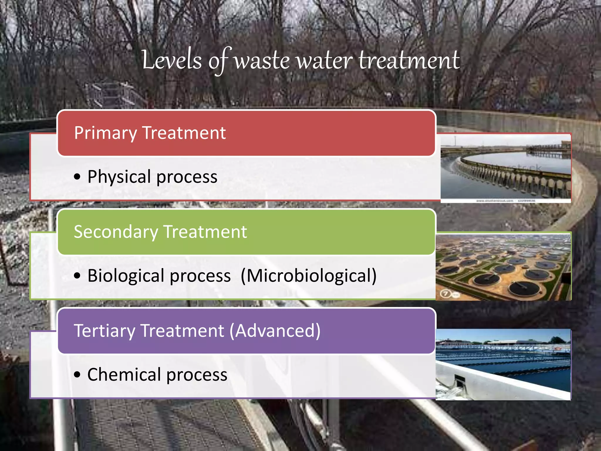 Microbiology of waste water treatment | PPTX