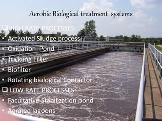 Microbiology of waste water treatment | PPTX