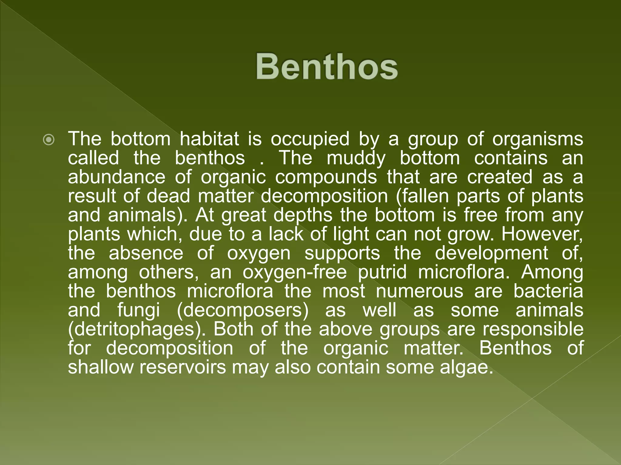 Microbiology of water | PPTX