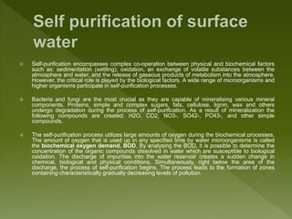 Microbiology of water | PPTX