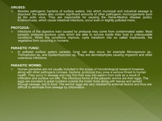 Microbiology of water | PPTX