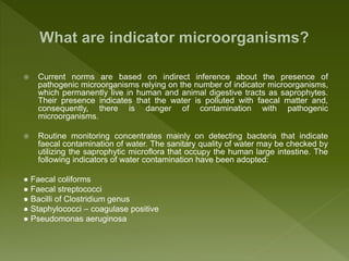 Microbiology of water | PPTX
