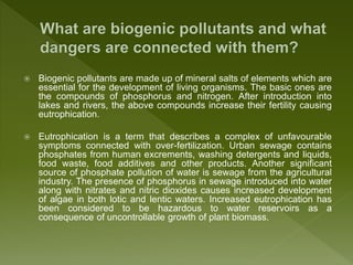 Microbiology of water | PPTX